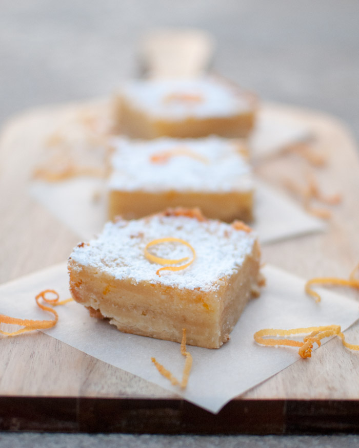 Grapefruit IPA Bars - The Devil Wears Parsley